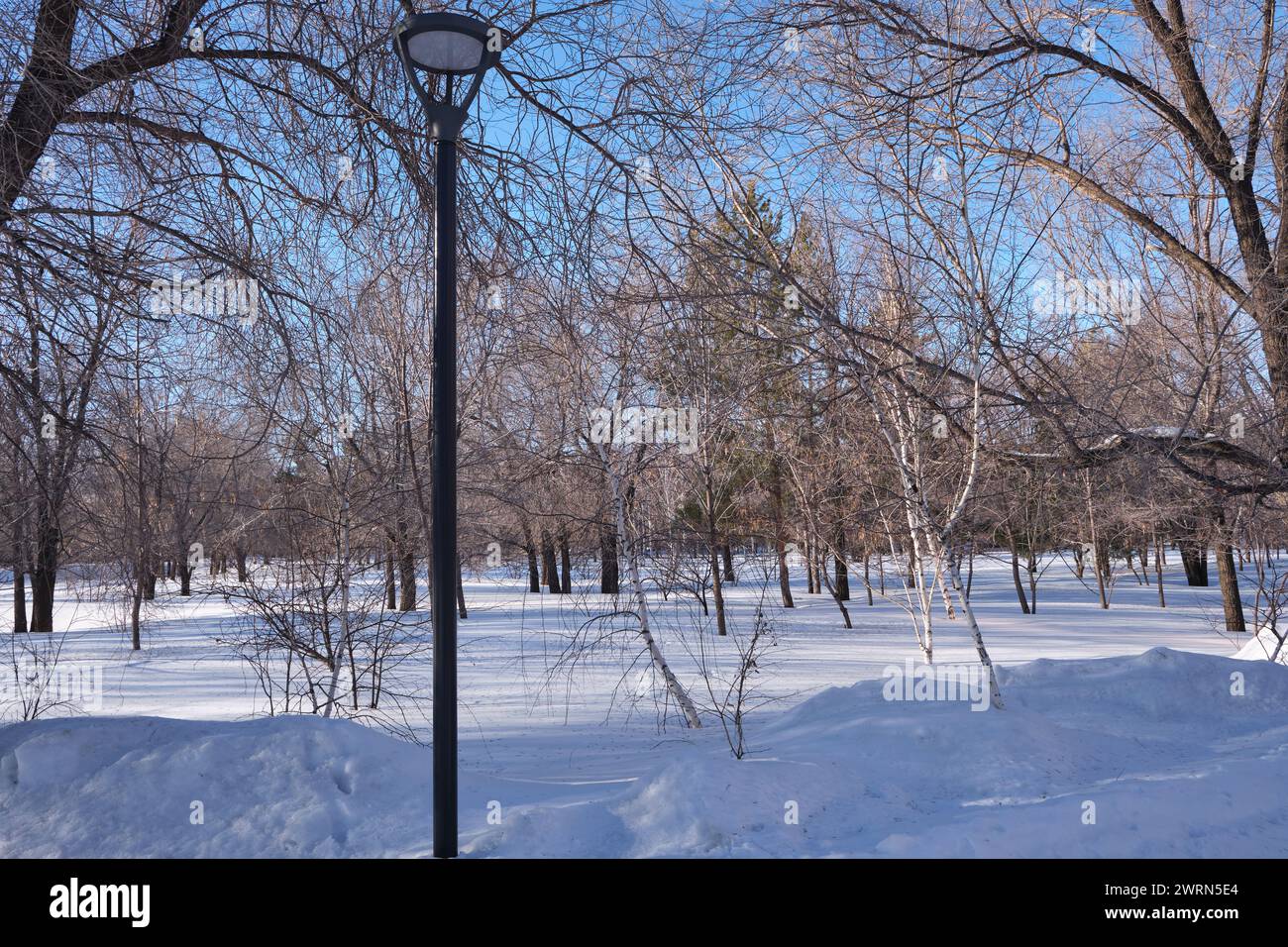 Park lamp post trees hi-res stock photography and images - Alamy