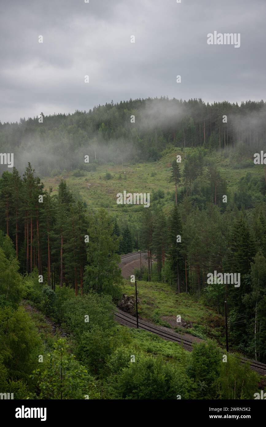 Norwegian mountain landscape with green trees and white fog with train ...