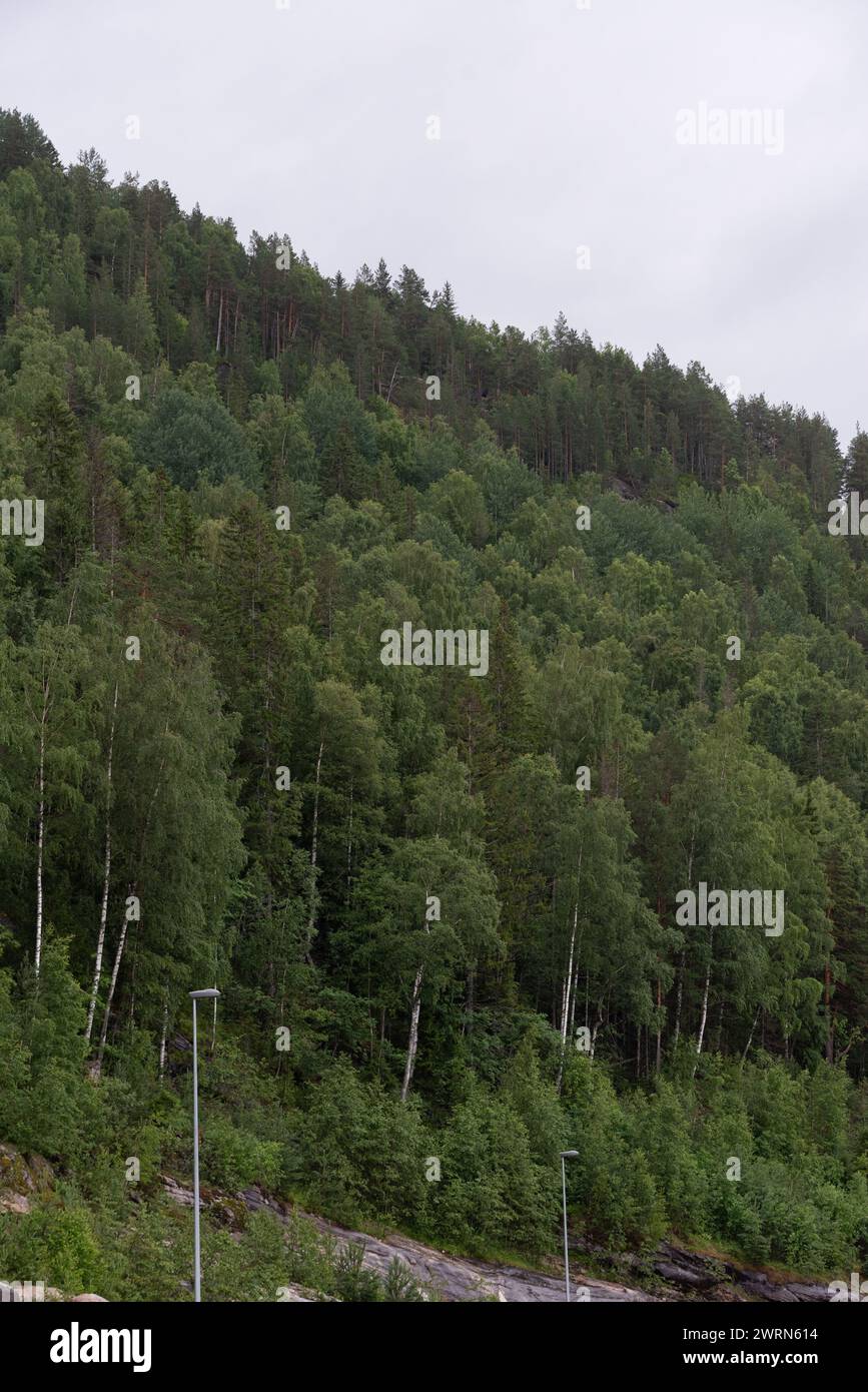 Rocks road tree green hi-res stock photography and images - Alamy