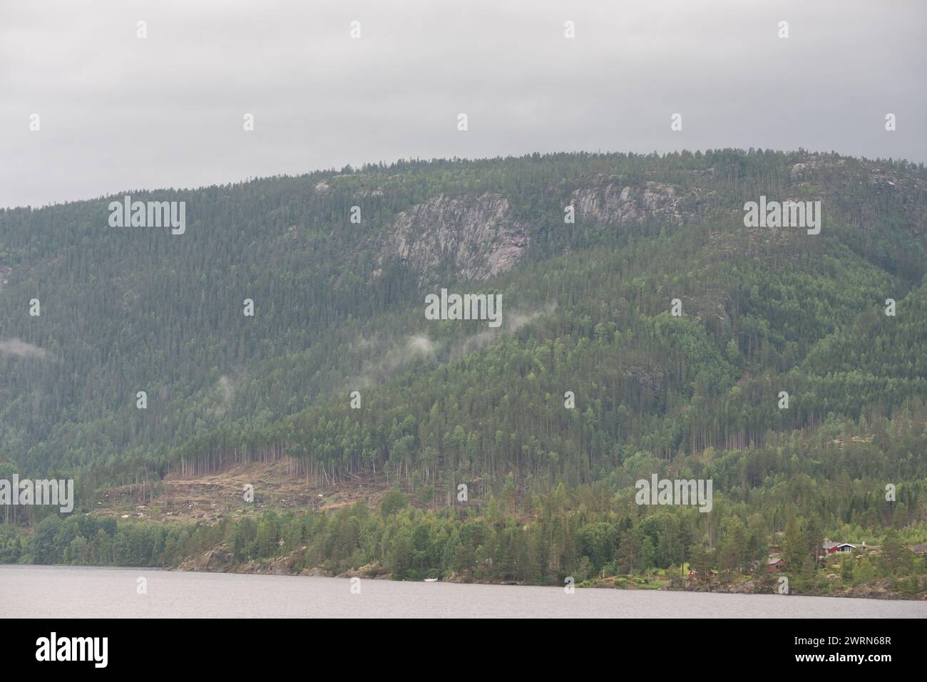 Norwegian mountain landscape with green trees and a red wooden house on ...