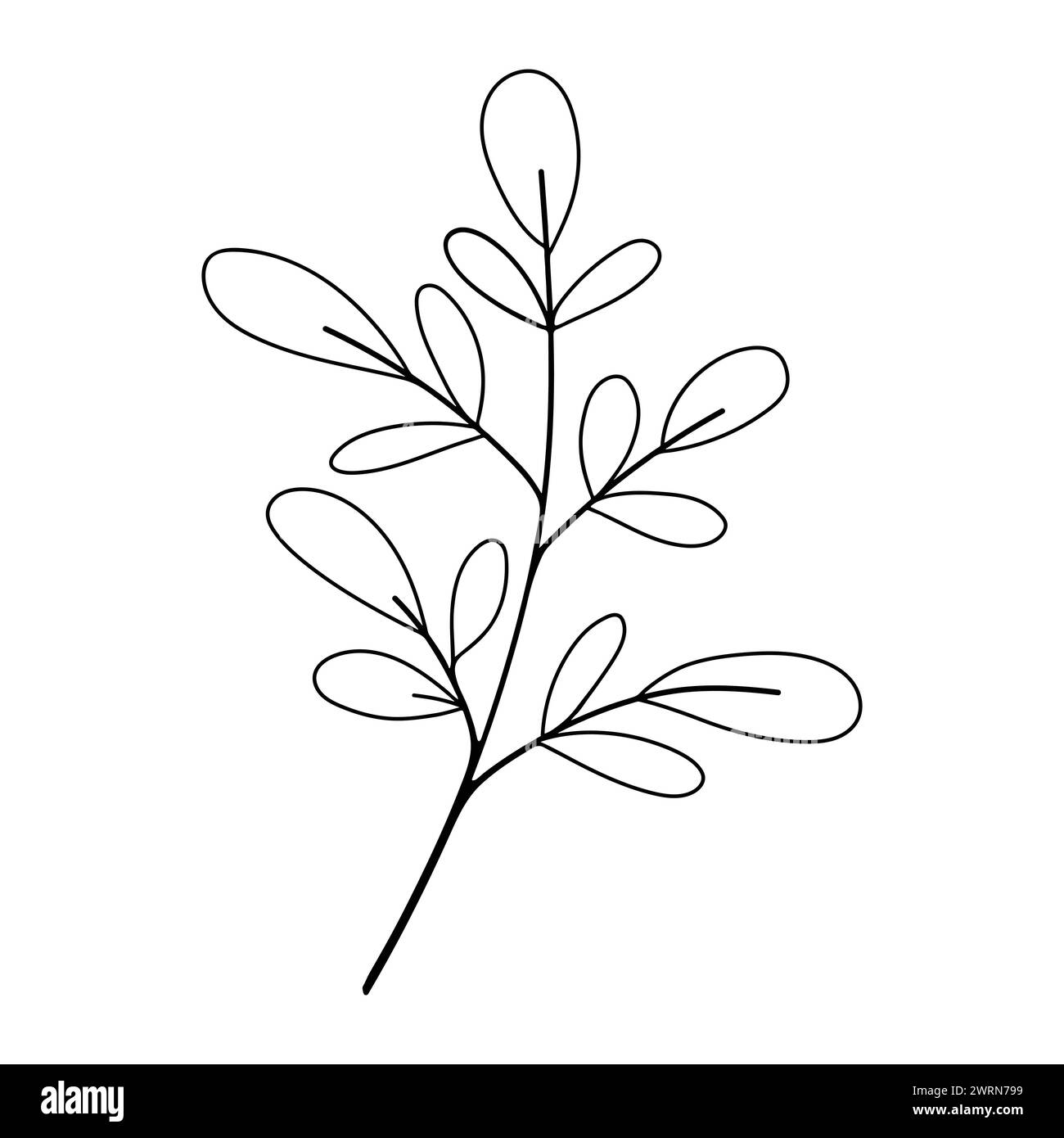 floral design ink line style. Vector for wedding invitation, save the ...