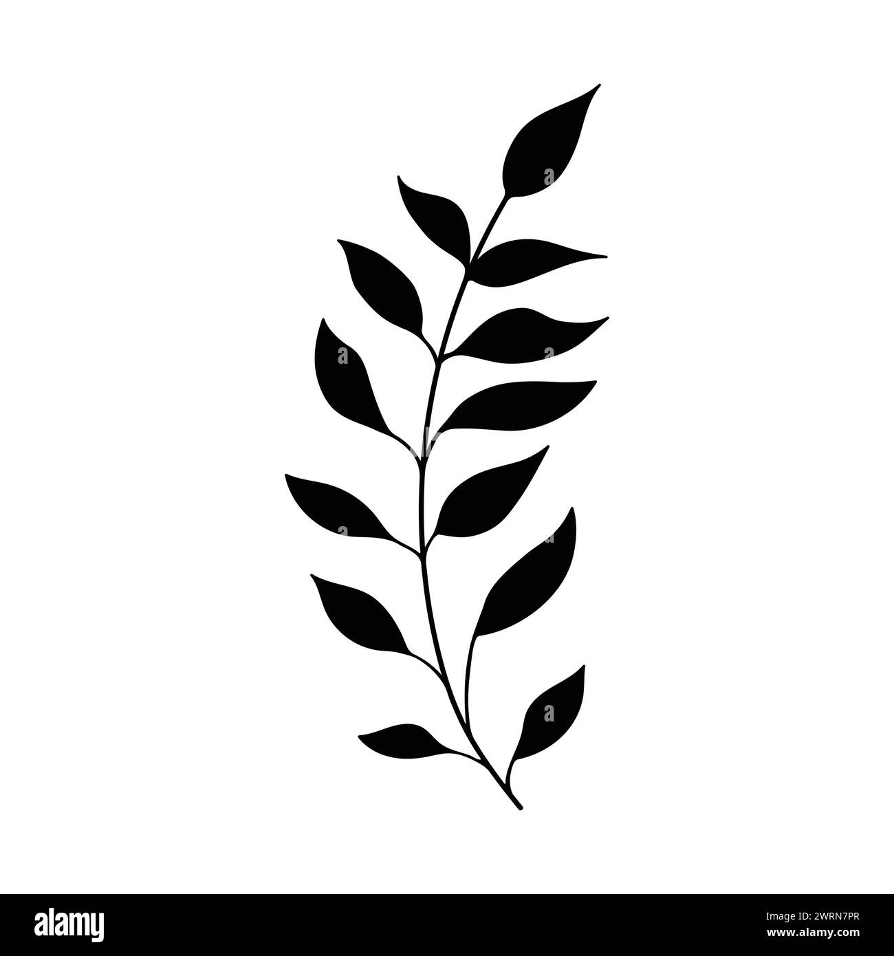 plant doodle, single plant silhouette isolated on white background ...