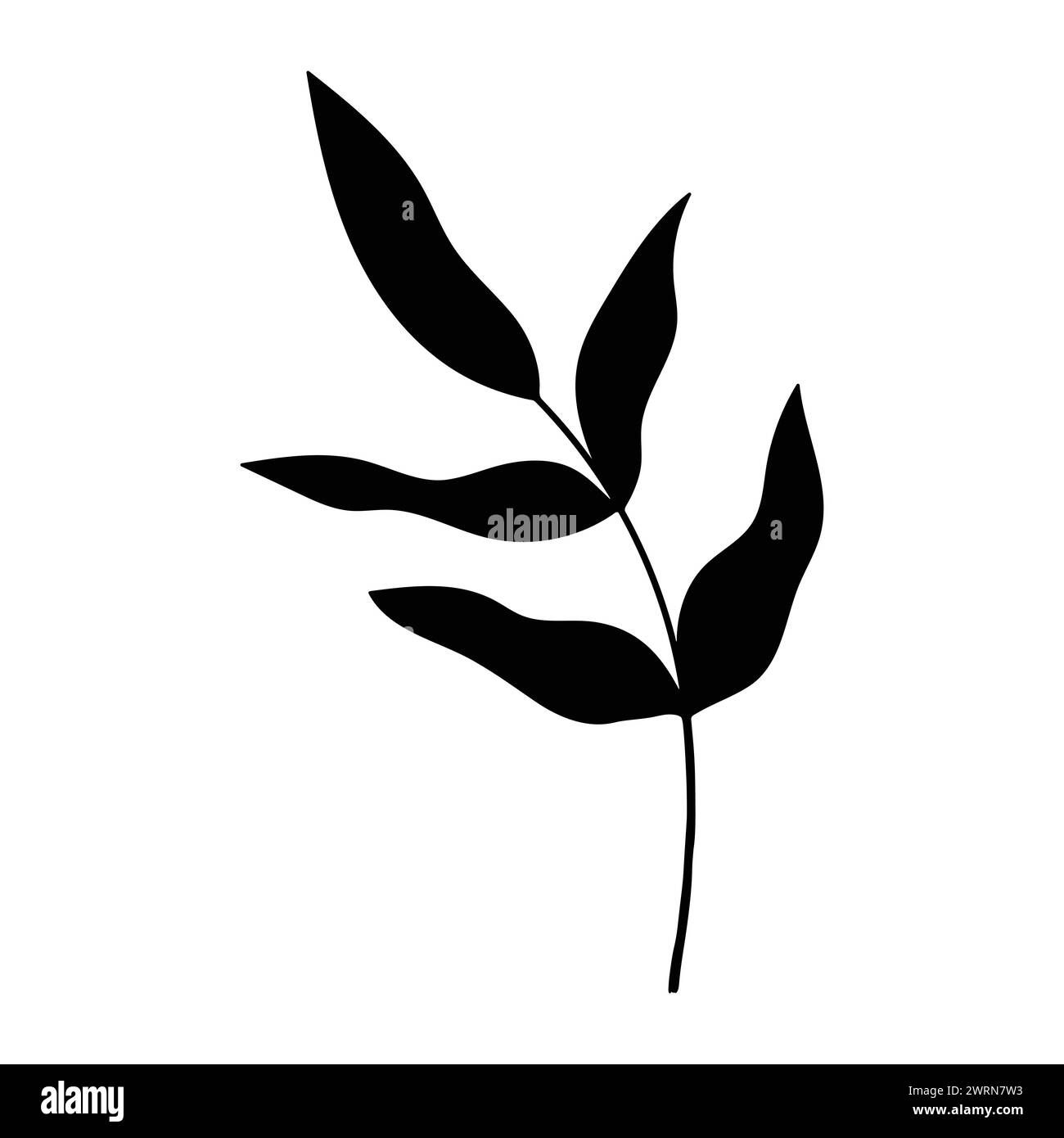 plant doodle, single plant silhouette isolated on white background ...