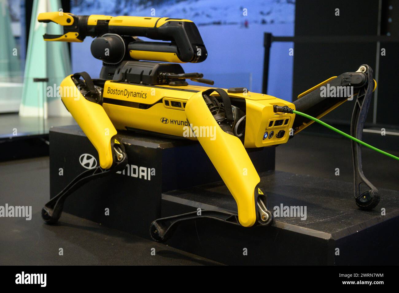 Toronto, ON, Canada - February 16, 2024: Robot Dog Boston Dynamics ...