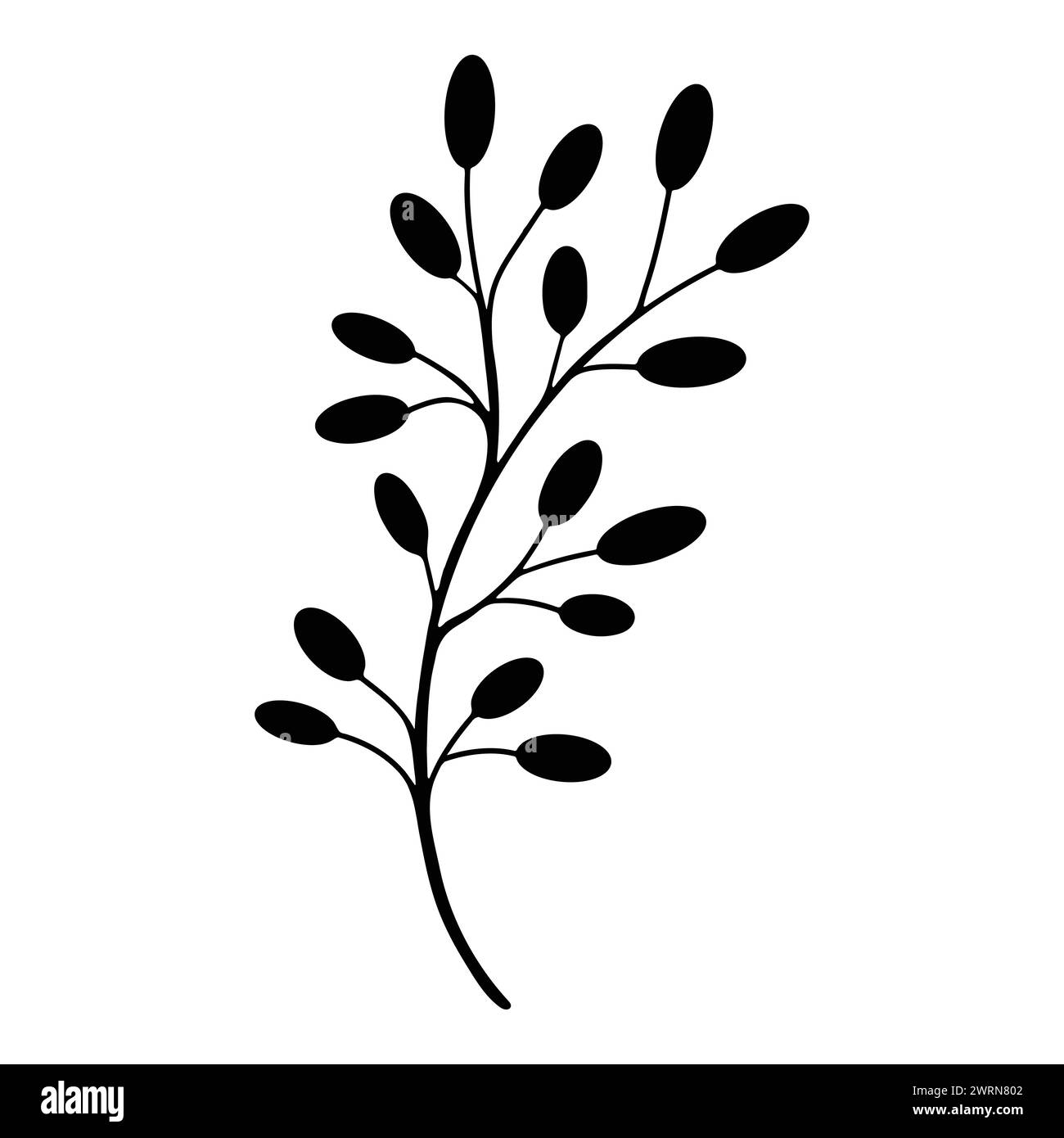 plant doodle, single plant silhouette isolated on white background ...