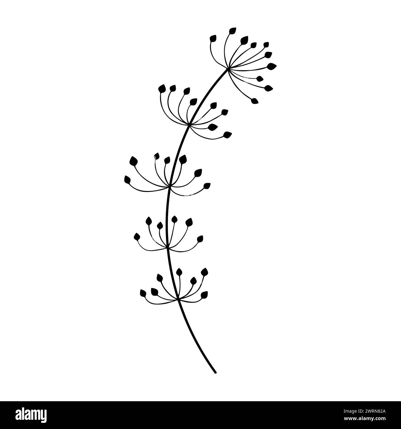 plant doodle, single plant silhouette isolated on white background ...