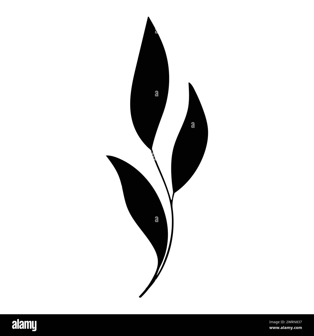 plant doodle, single plant silhouette isolated on white background ...