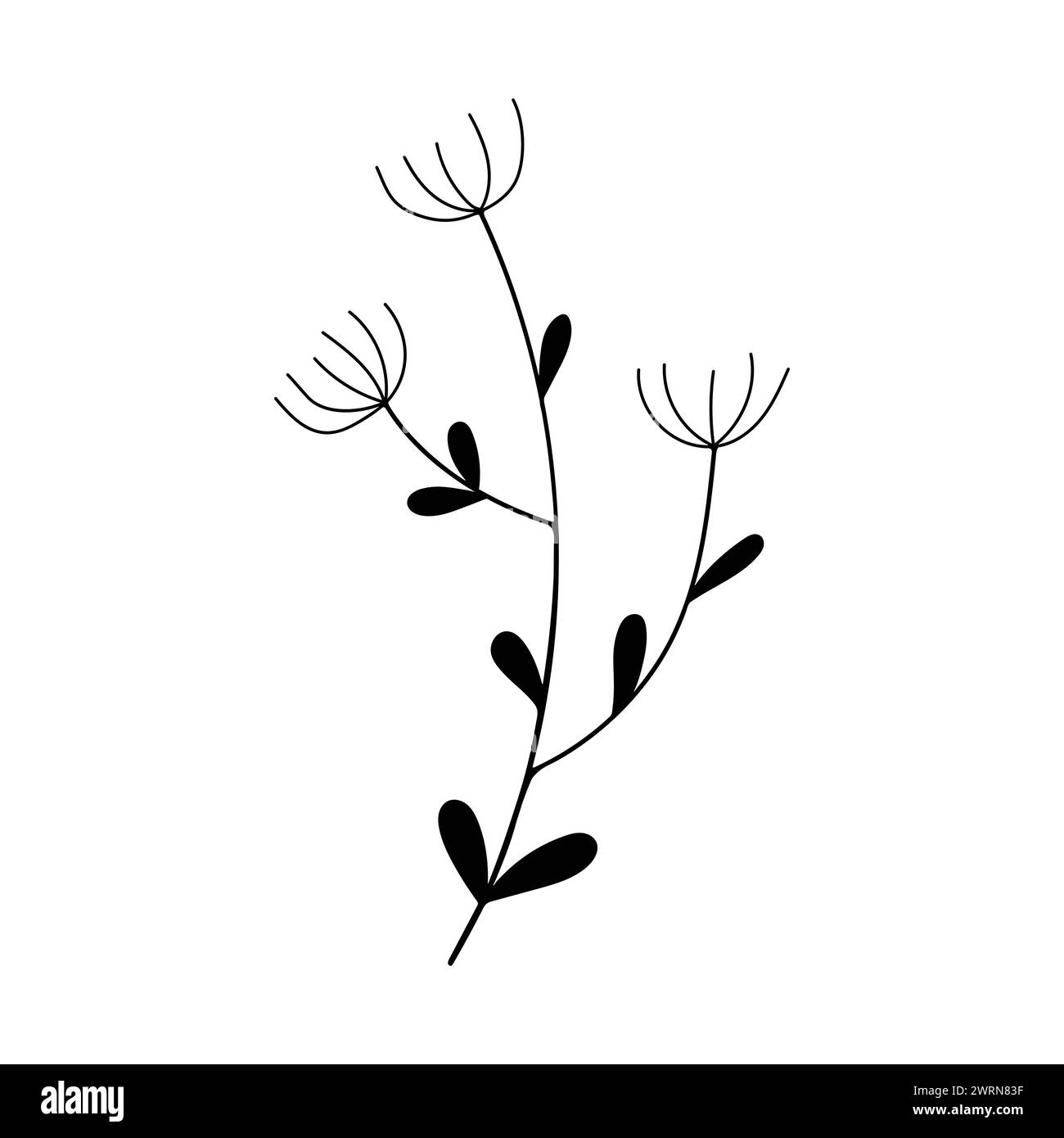 plant doodle, single plant silhouette isolated on white background ...