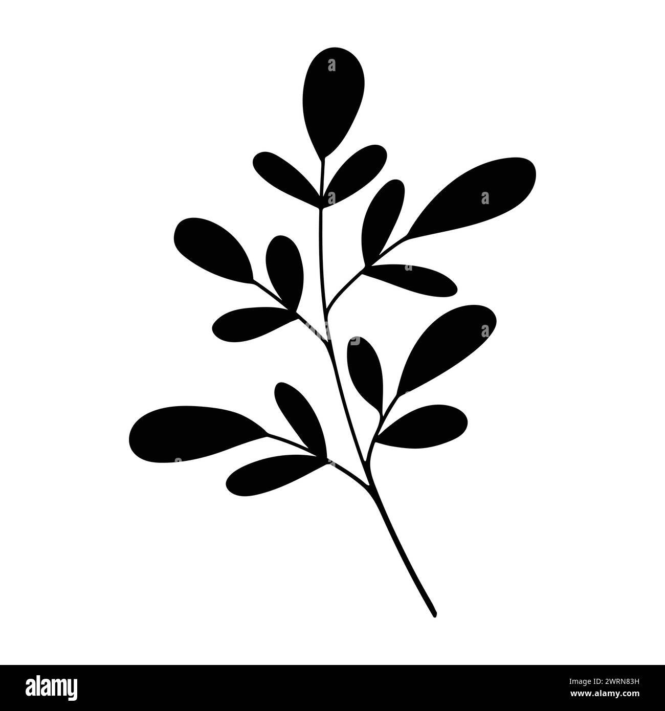 plant doodle, single plant silhouette isolated on white background ...
