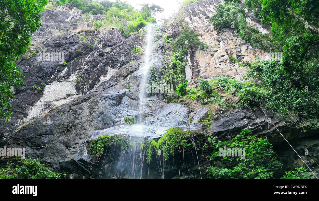 Principe island africa rainforest hi-res stock photography and images ...