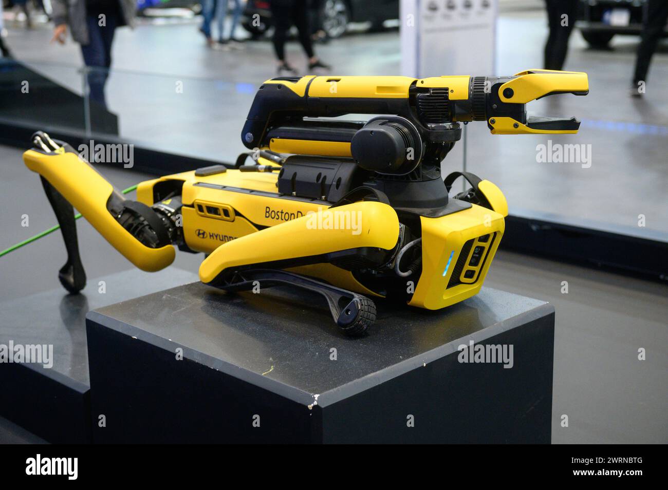 Toronto, ON, Canada - February 16, 2024: Robot Dog Boston Dynamics ...