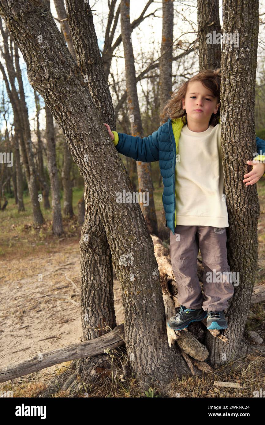 Little girl standing in between tree trunks Stock Photo - Alamy