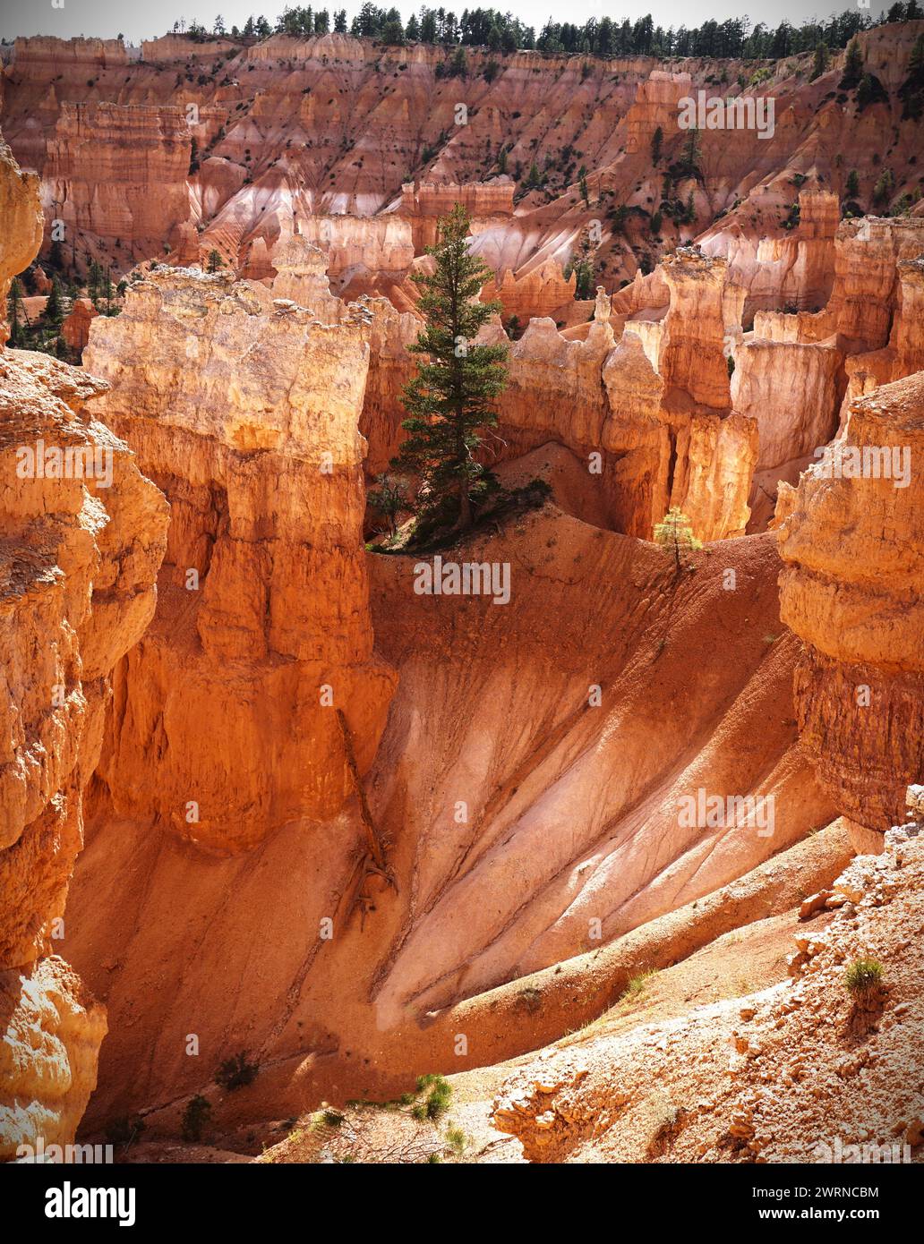 Viaggi fotografici hi-res stock photography and images - Alamy