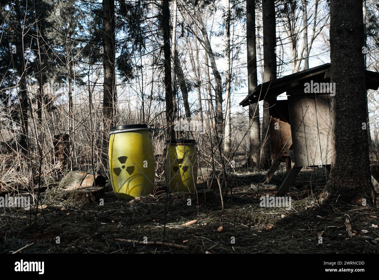 nuclear waste in the forest dark Stock Photo - Alamy