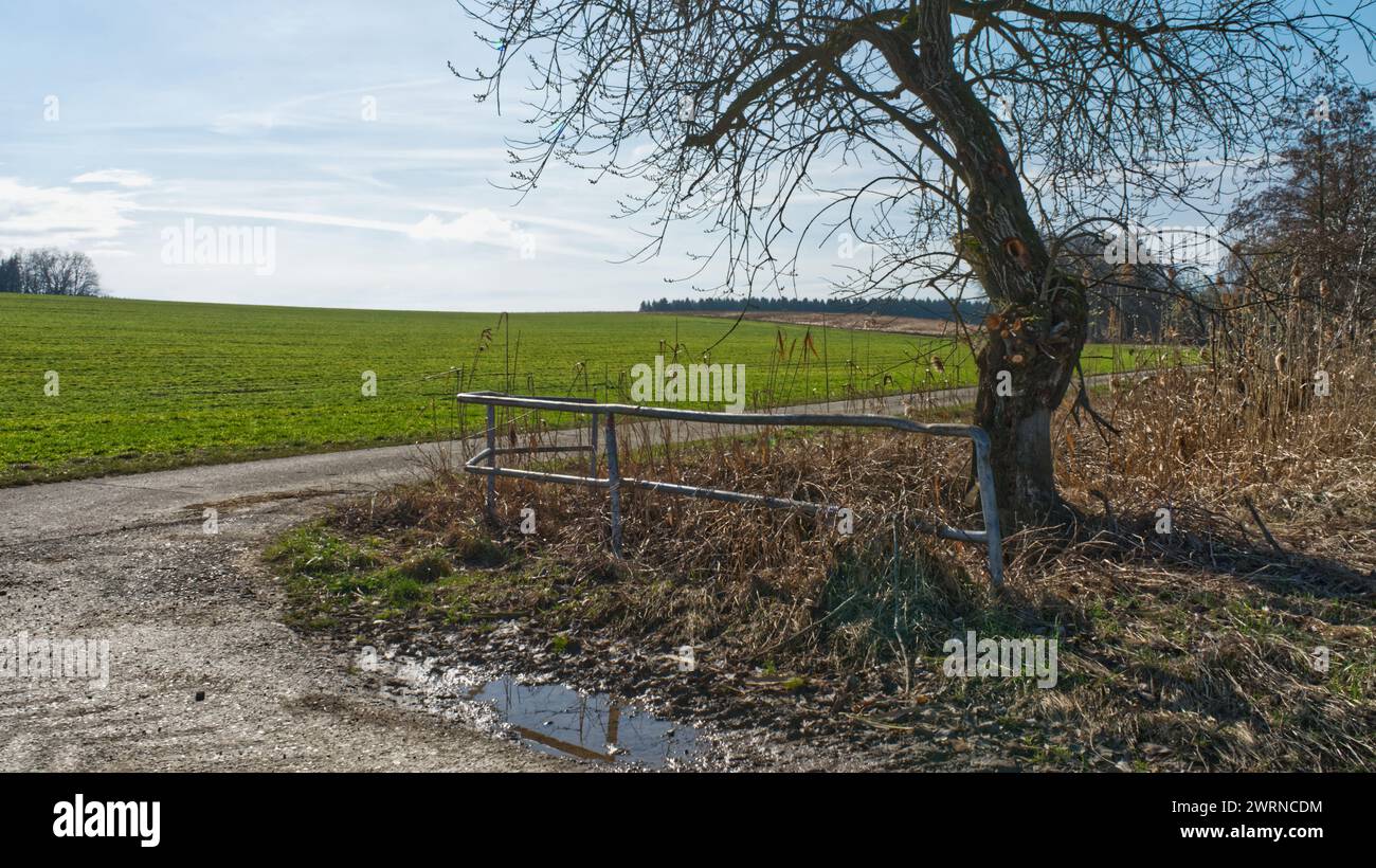 tree at a small bridge Stock Photo - Alamy
