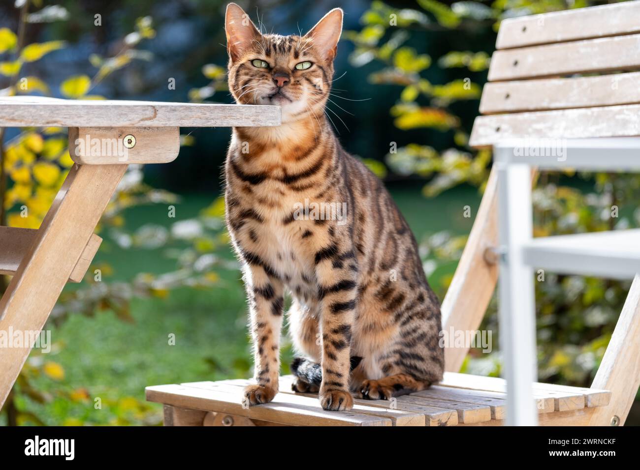 Refined quality hi-res stock photography and images - Alamy