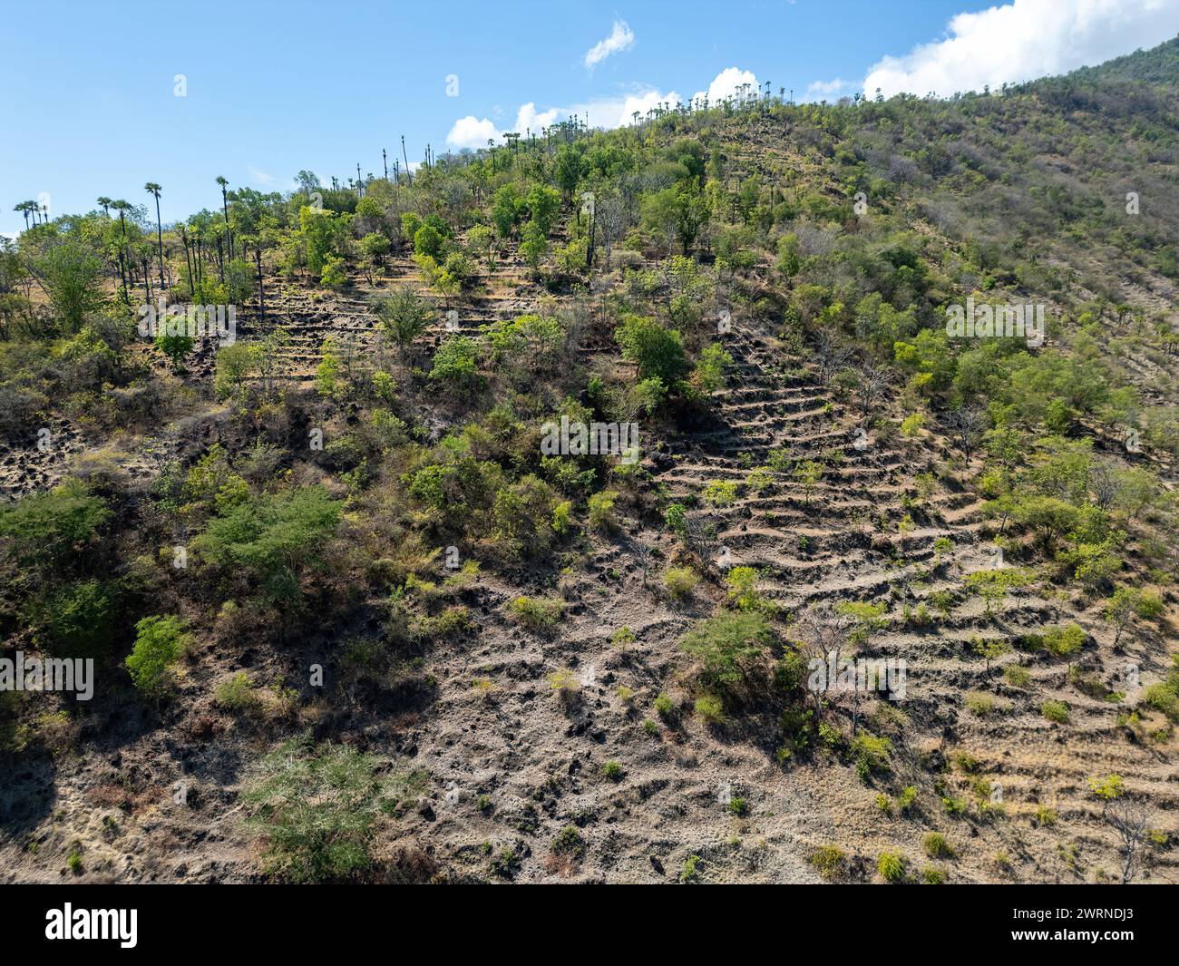 Green mountain slope in tropical hi-res stock photography and images ...
