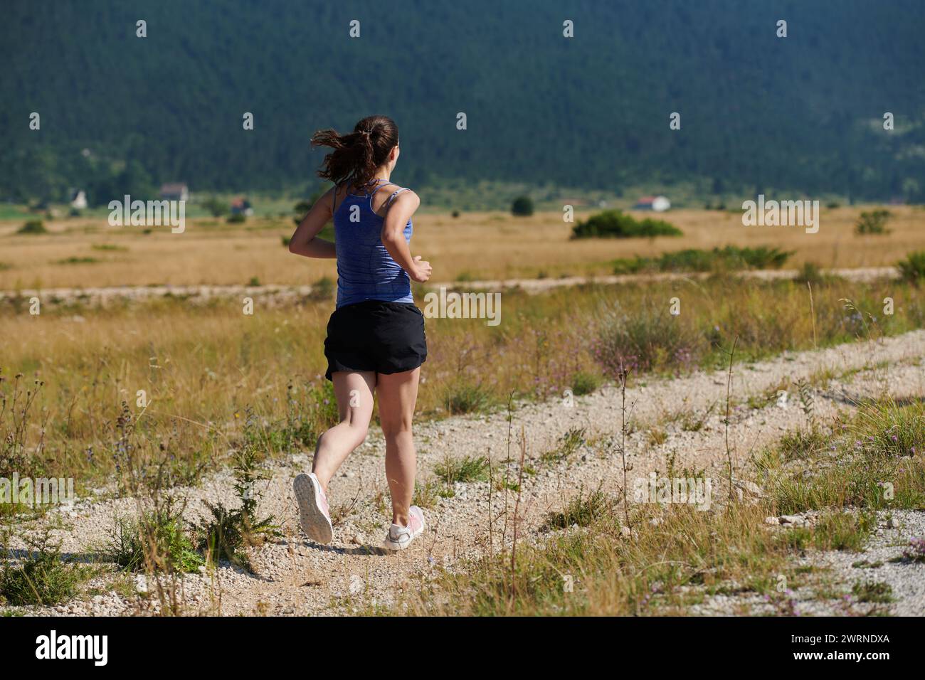 Solo Stride: Determined Athlete Woman Embarks on Fitness Journey for Marathon Preparation Stock ...