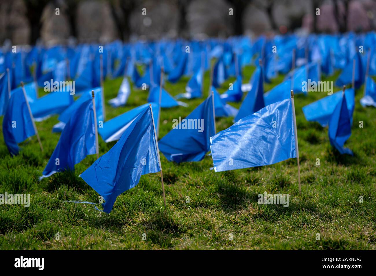 Washington, United States. 13th Mar, 2024. Flags stand as part of an ...
