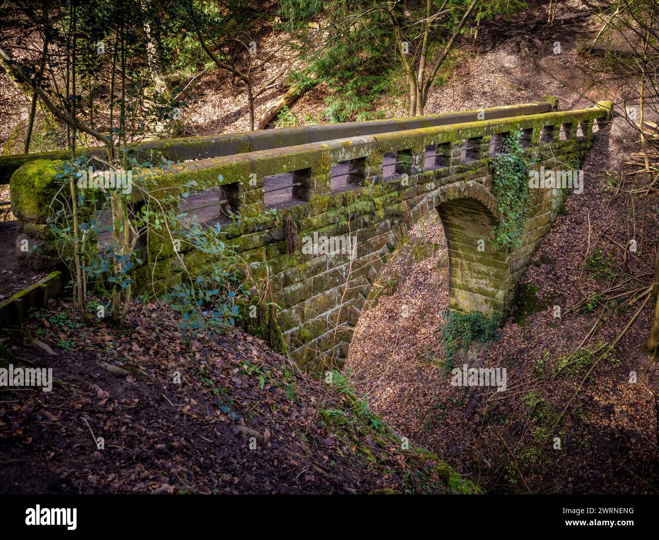 Styal woods hi-res stock photography and images - Alamy