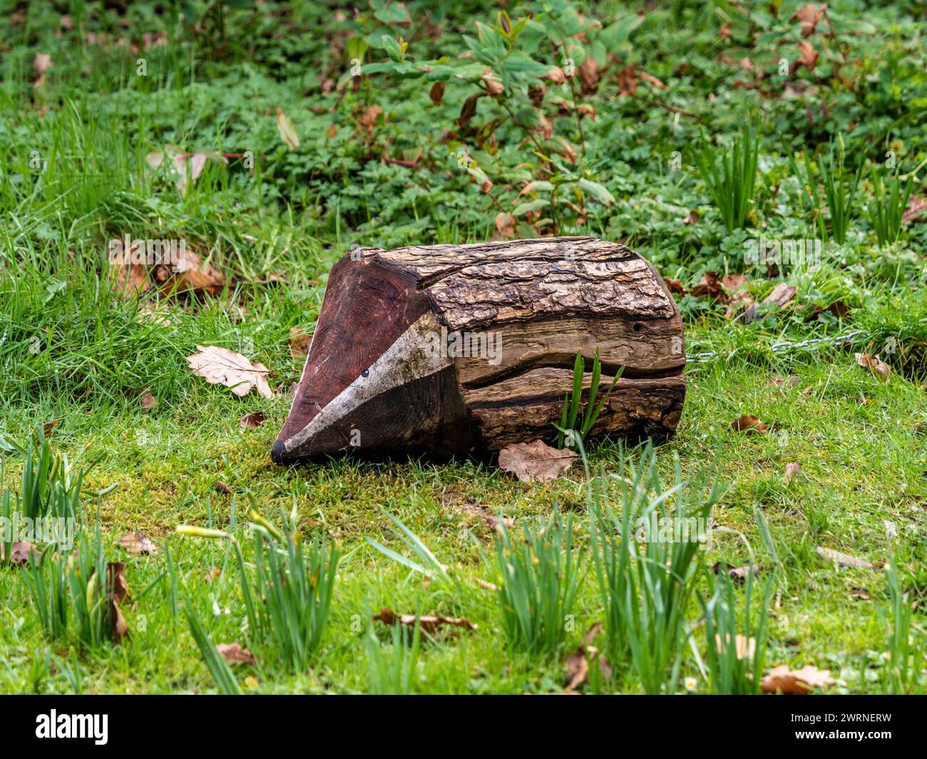 Carved badger hi-res stock photography and images - Alamy