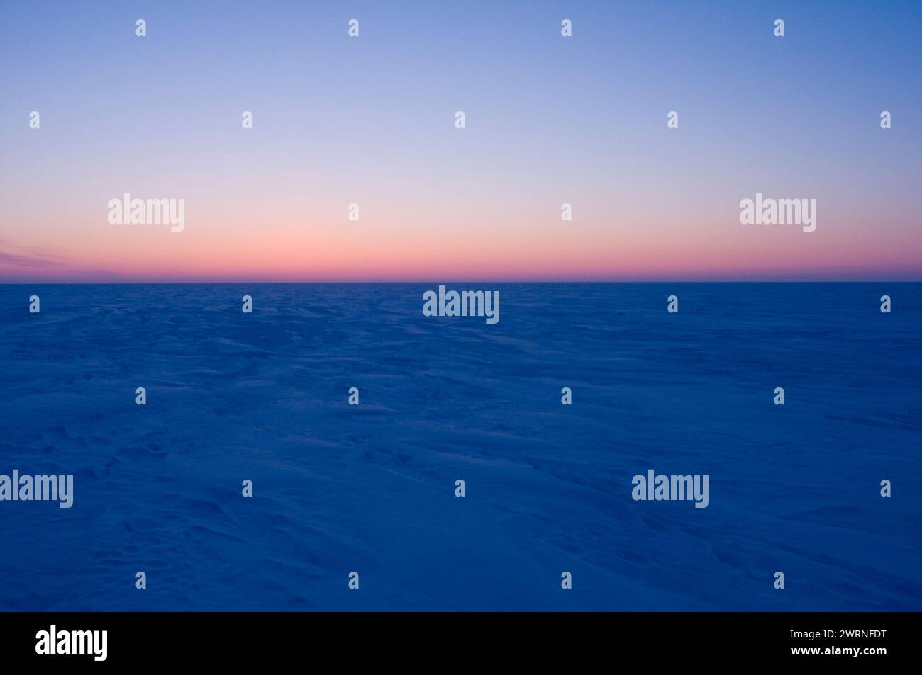 Polar bear den location canning river sunset on frozen Beaufort sea and ...