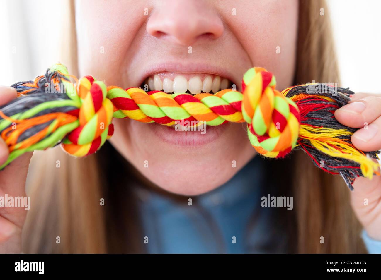 Human dog play rope hi-res stock photography and images - Alamy