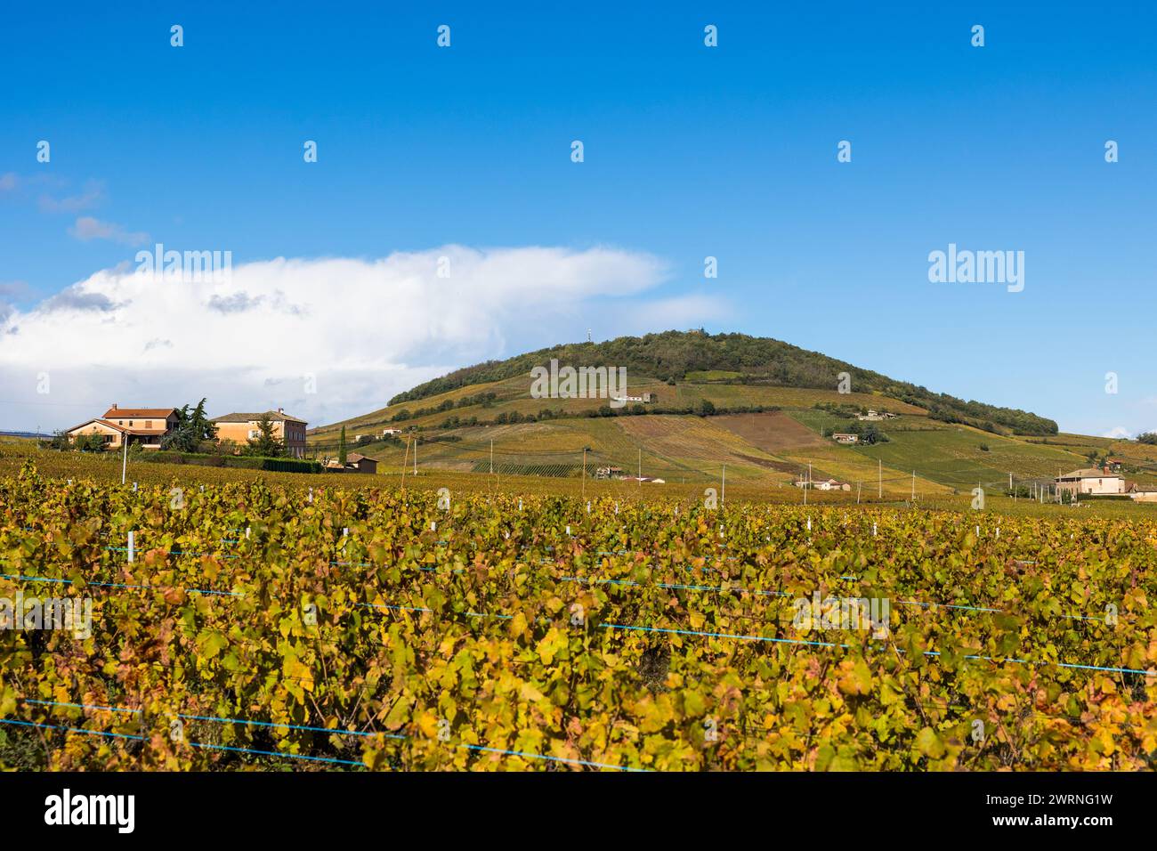 Mont Brouilly et son vignoble produisant l’un des meilleurs vins du ...