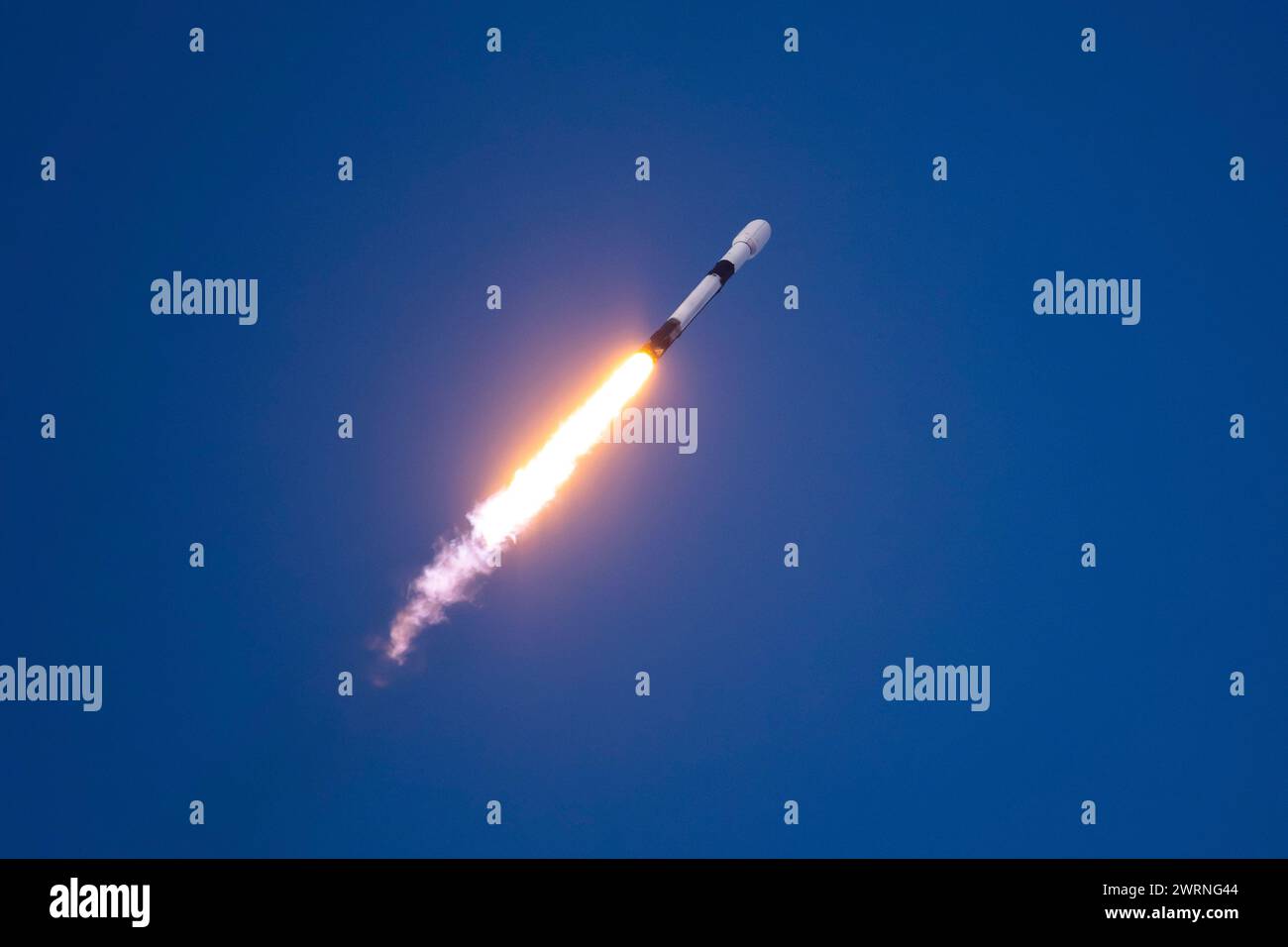 Cape Canaveral, United States of America. 10 March, 2024. A SpaceX ...