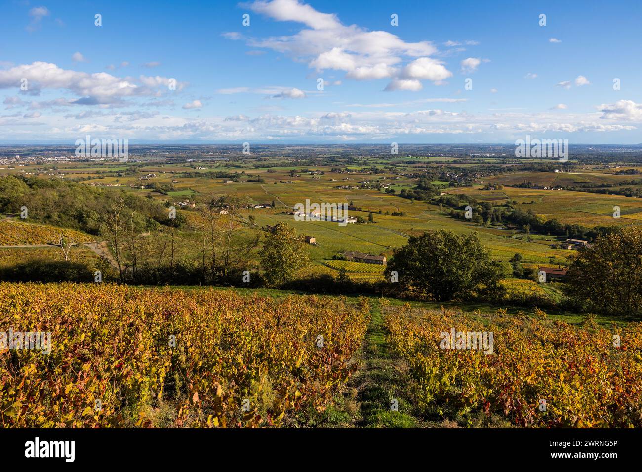 Paysage de plaine hi-res stock photography and images - Alamy