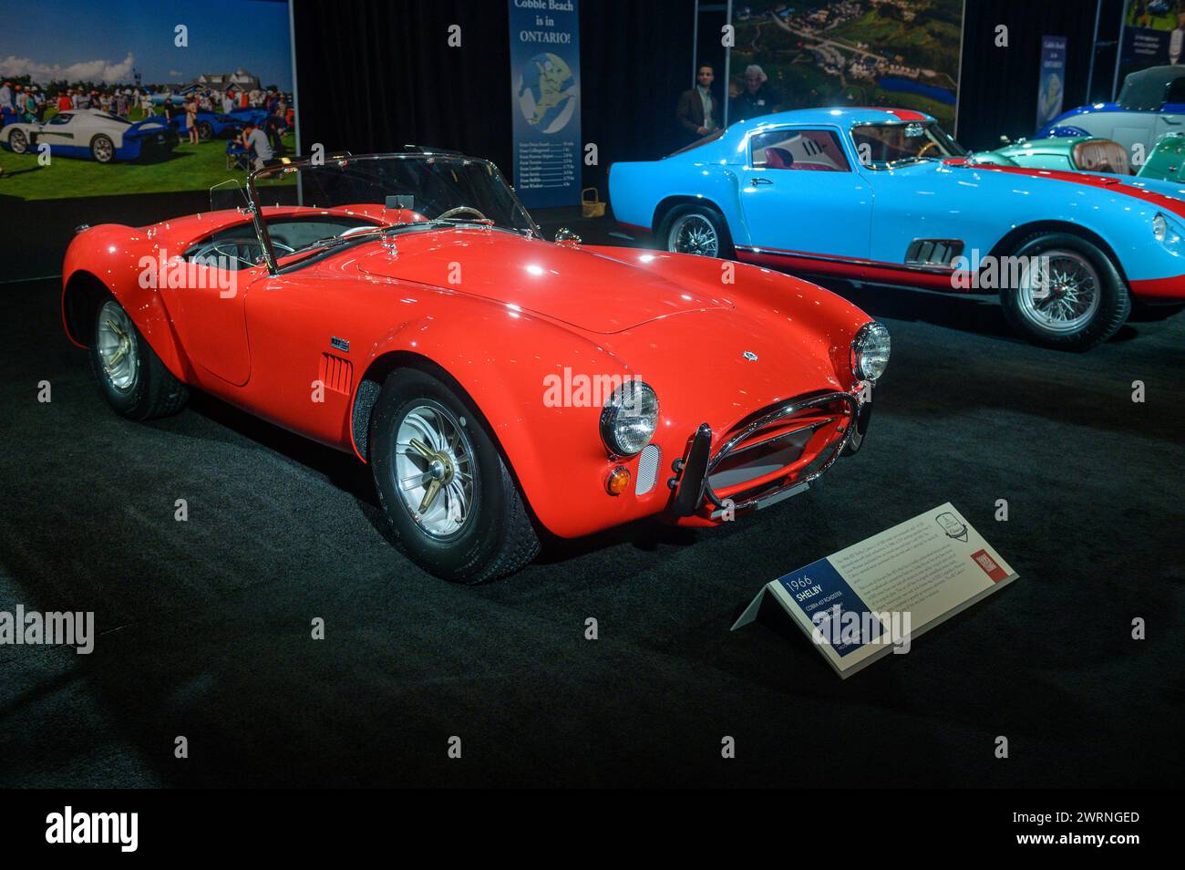 Toronto, ON, Canada - February 16, 2024: Shelby 427 Cobra presented at ...