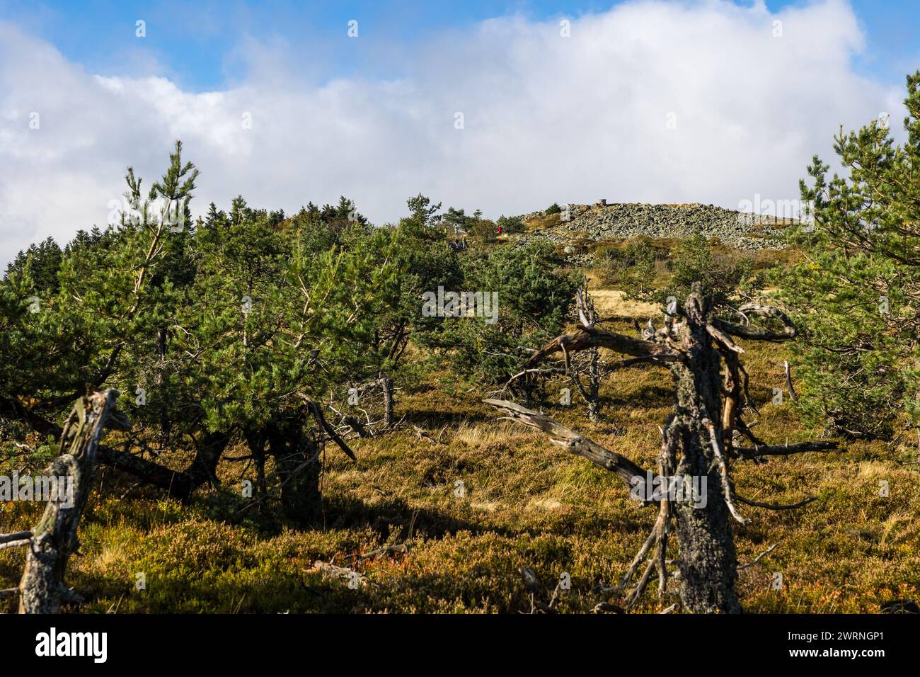 Crêt de la Perdrix, point culminant du massif du Pilat, dont les pentes ...