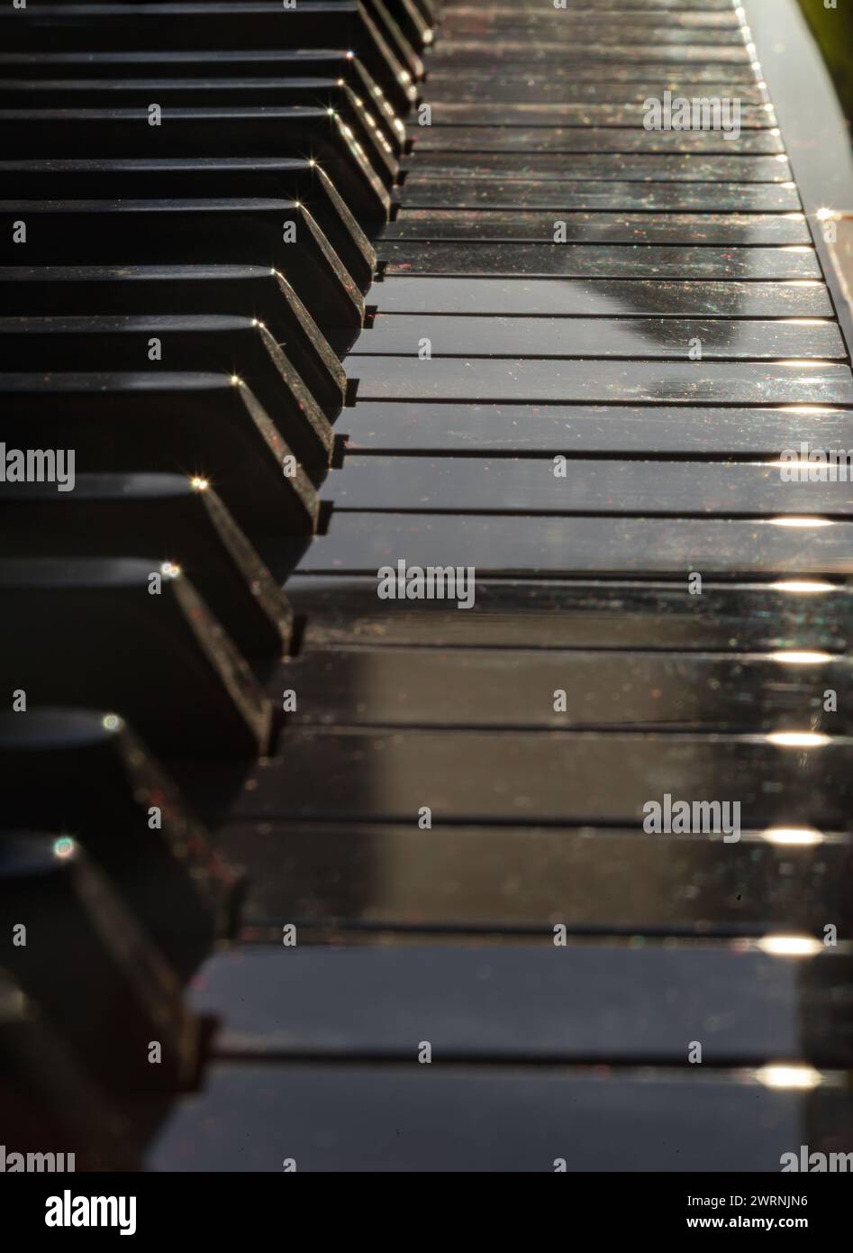 Piano keys side view with shallow depth of field. Classic grand piano ...