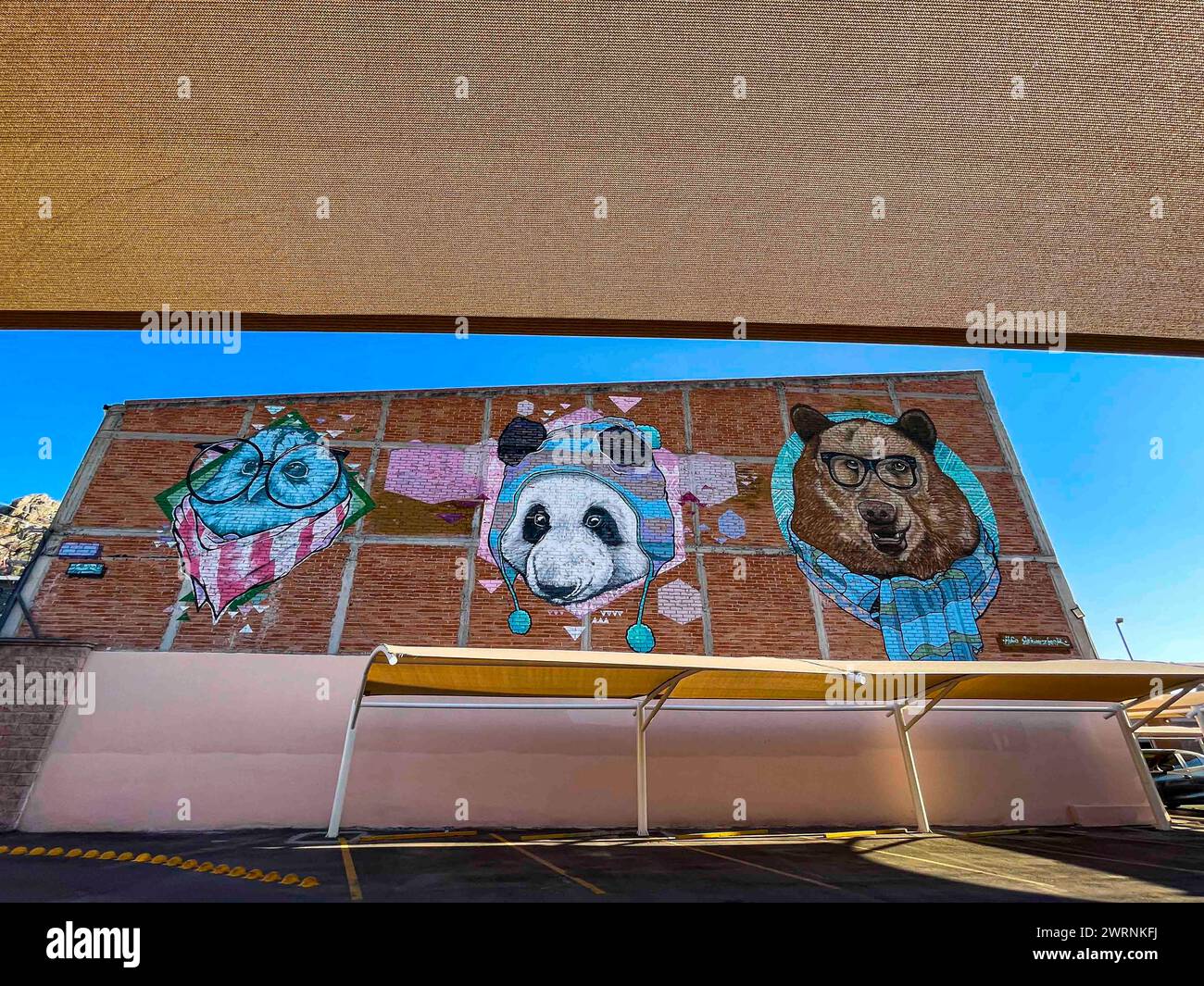 Panda, Owl and bear mural in the center of Hermosillo Mexico. colors ...