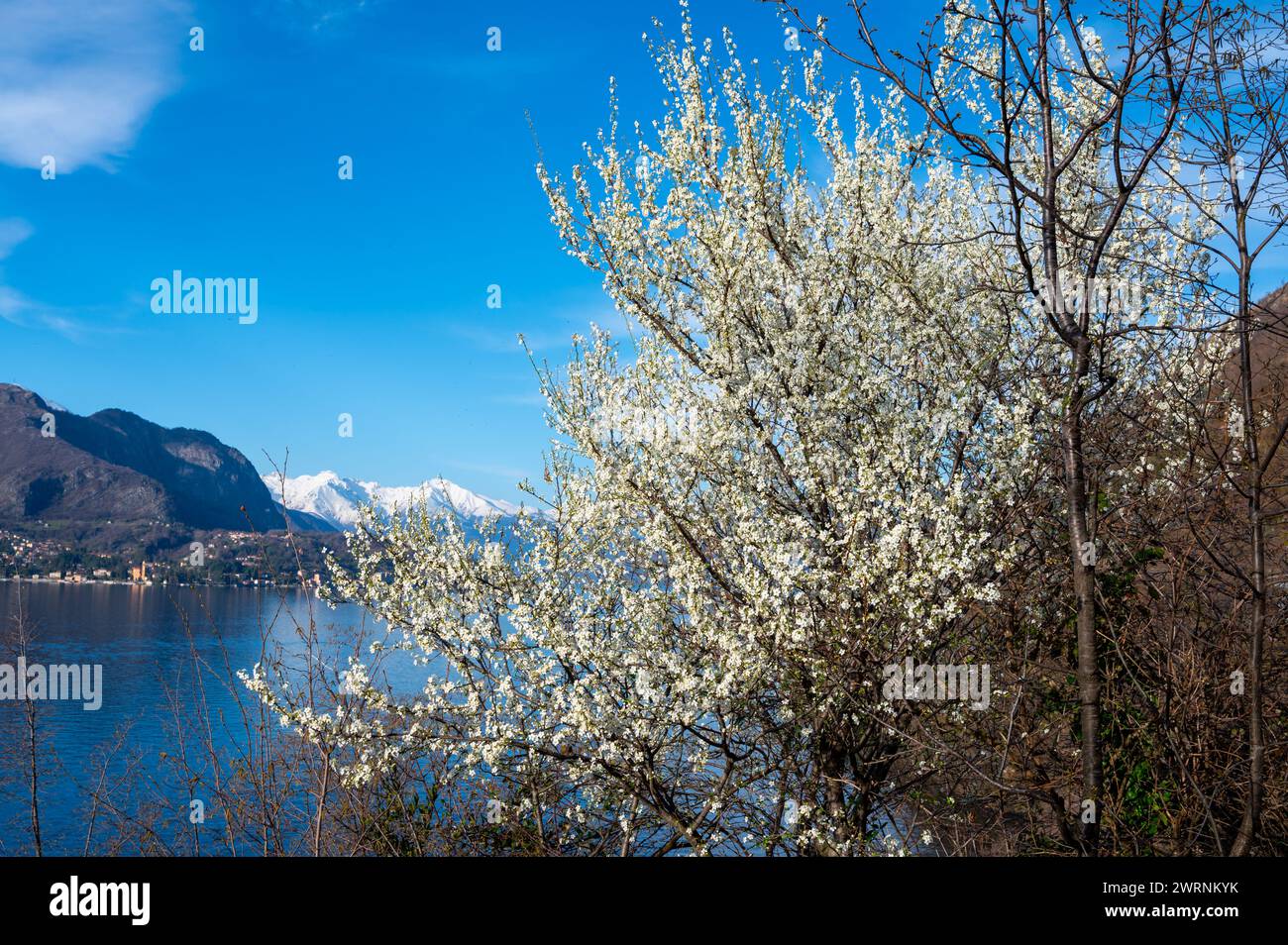 Driving car on road along shores of Lake Como in Northern Italy, spring ...