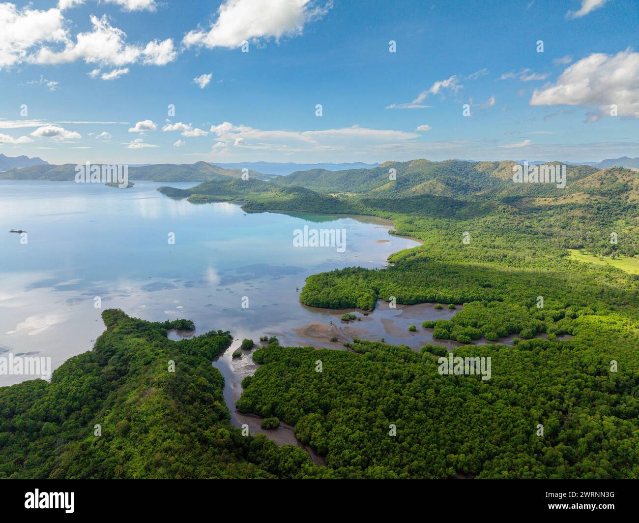 Philippines palawan mangroves forest hi-res stock photography and ...