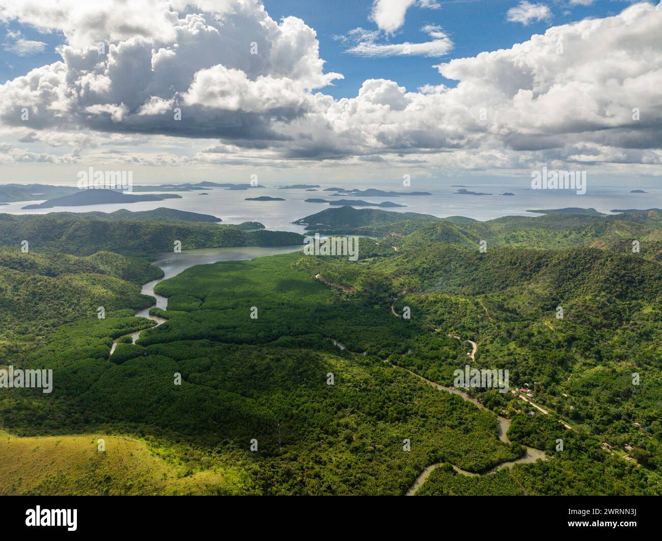 Philippines palawan mangroves forest hi-res stock photography and ...