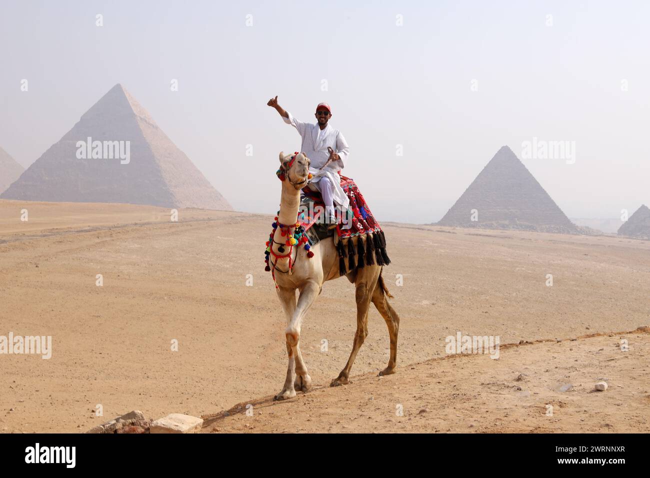 Cairo Giza, Egypt - October 24, 2024 - Camel riding in the desert of ...
