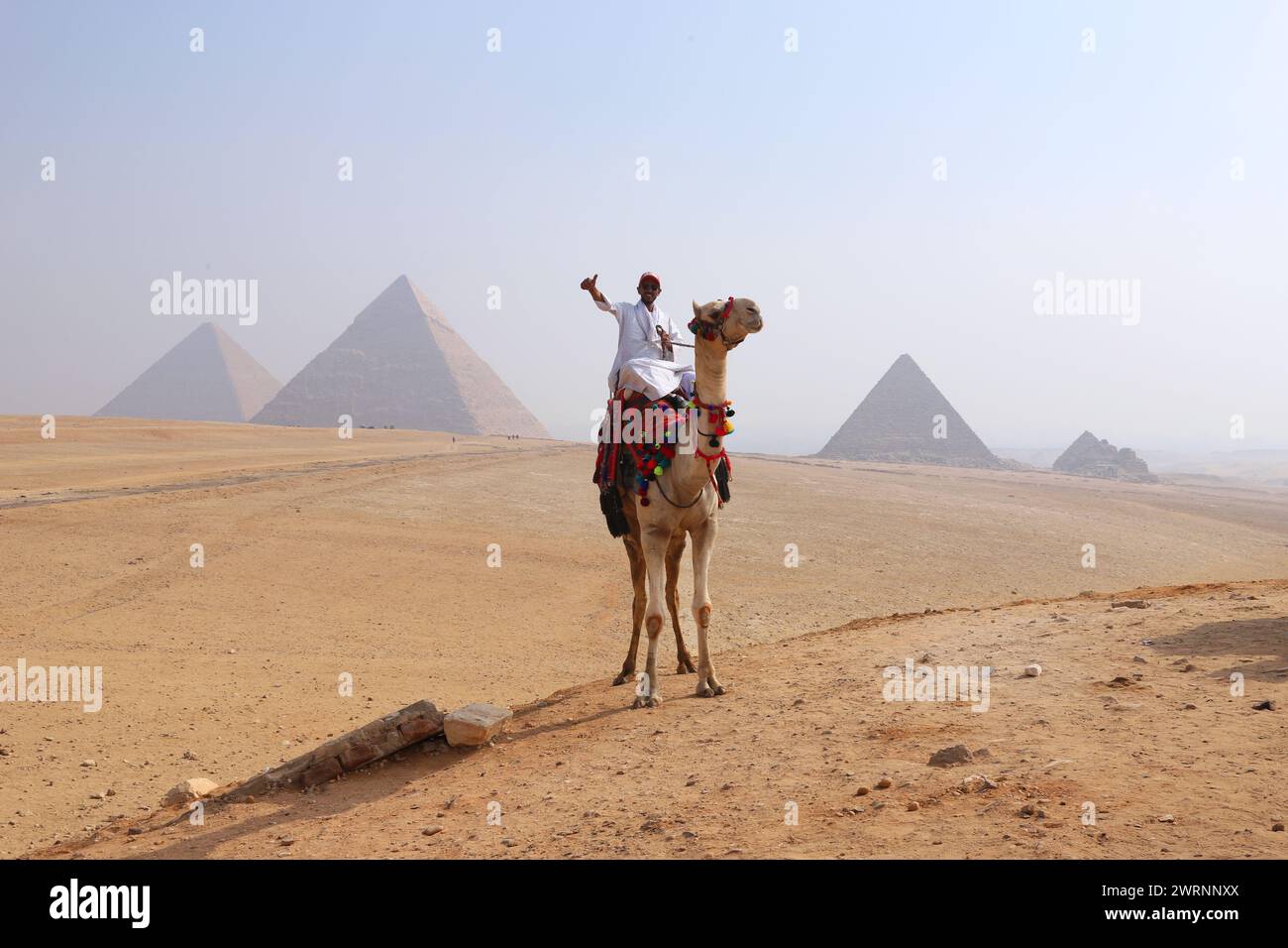 Cairo Giza, Egypt - October 24, 2024 - Camel riding in the desert of ...
