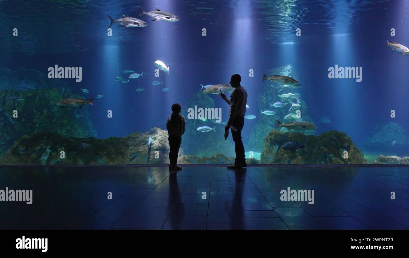 Visitors look at fish at the Gottesman Family Israel Aquarium ...