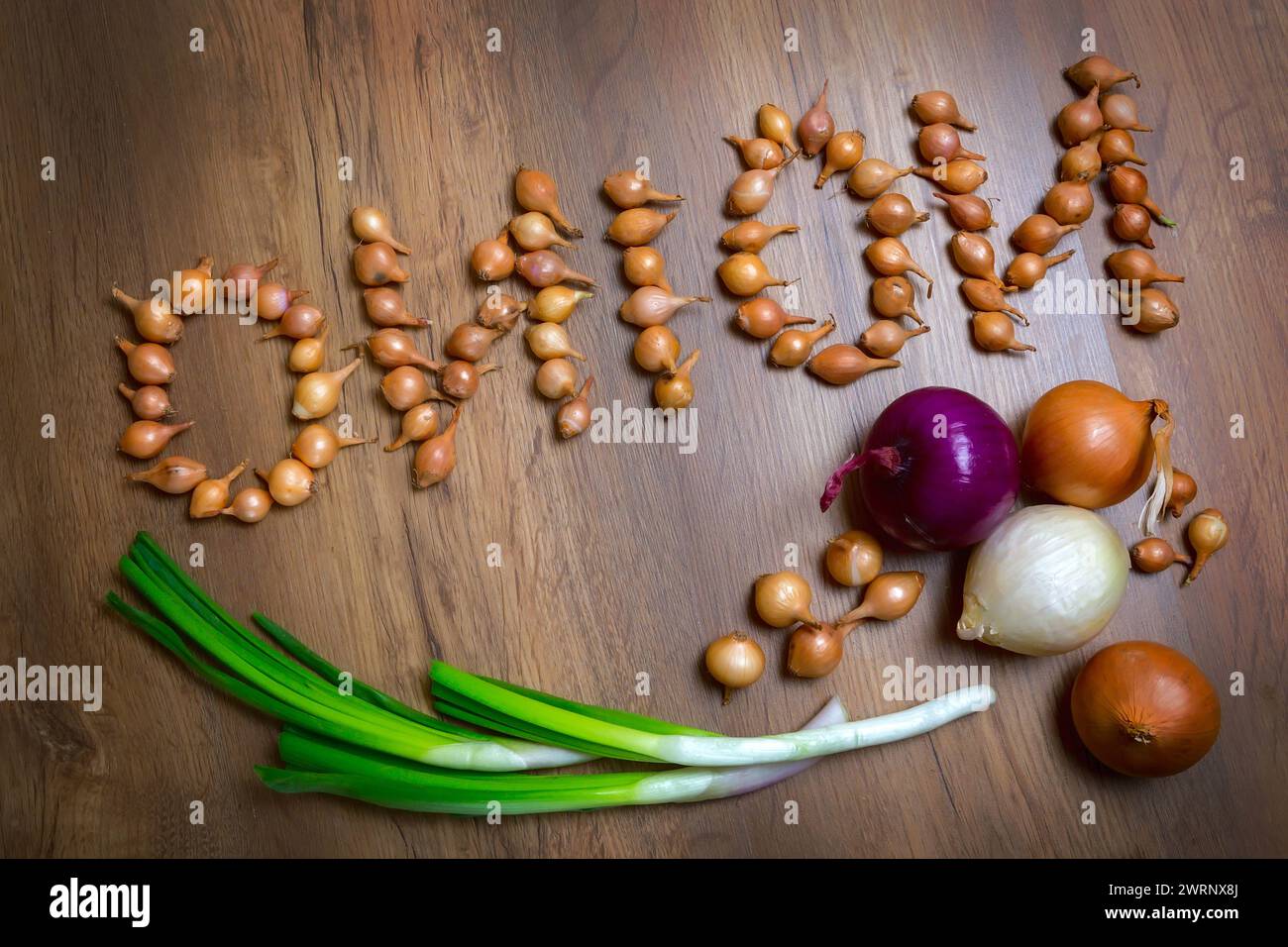 onion, the word onion is written in small bulbs. top view, place for ...