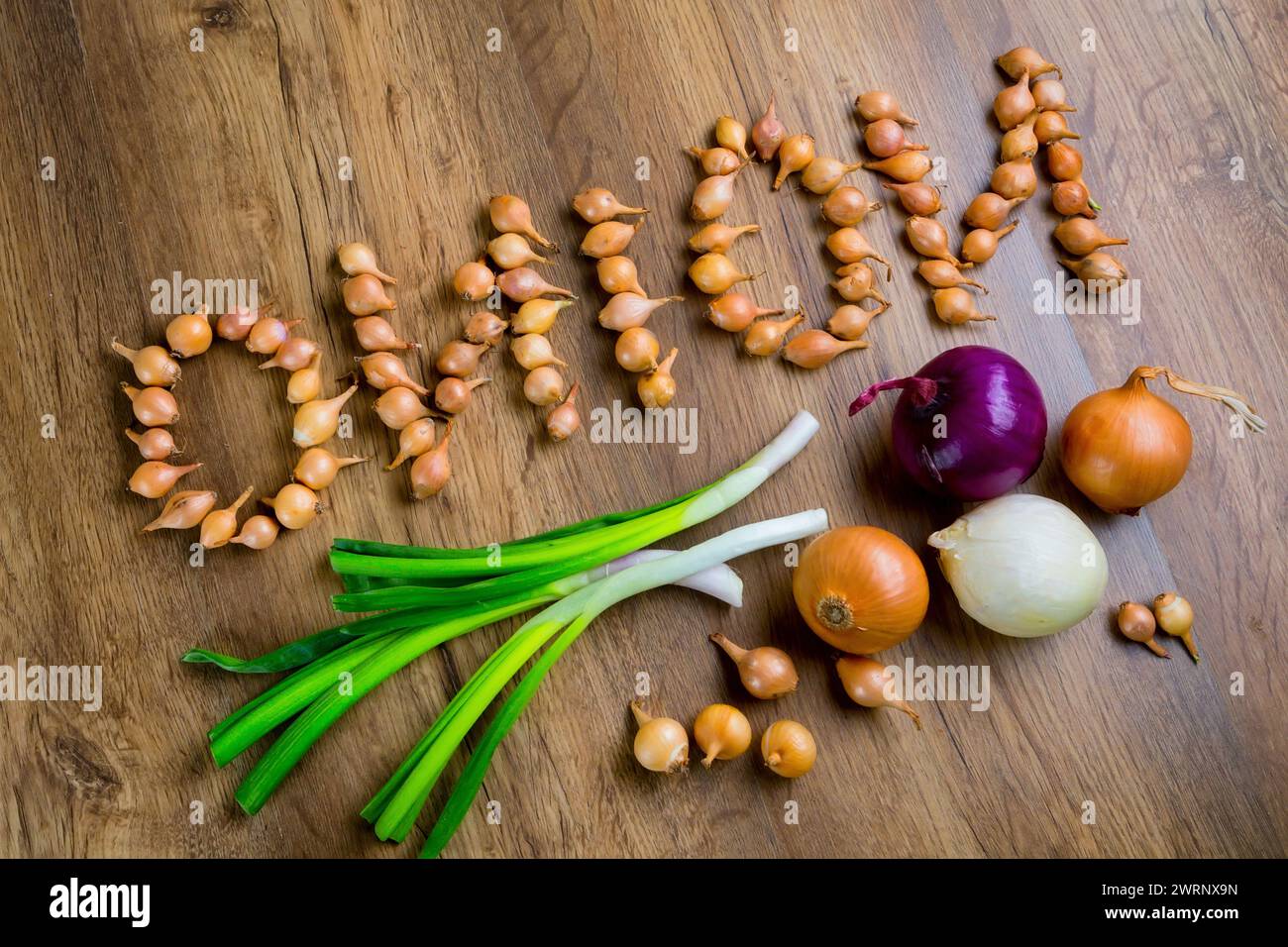 Headsofonions hi-res stock photography and images - Alamy