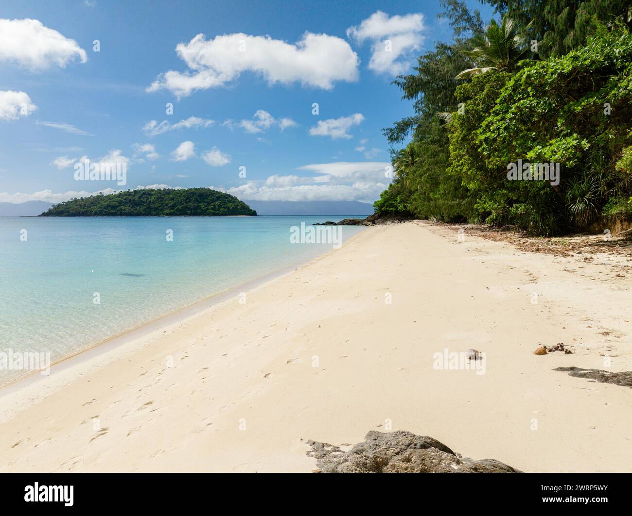 Tropical white sand beach with coconut trees and clear ocean waves ...