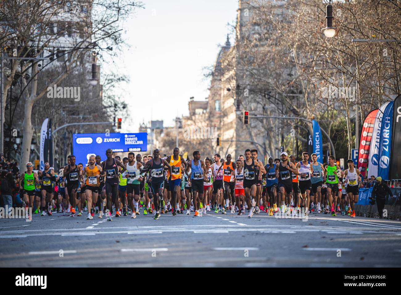 Starting line in the Barcelona Marathon of the year 2024 Stock Photo ...