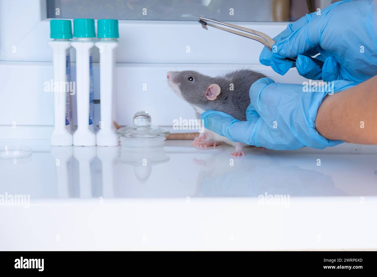 Lab on chip hi-res stock photography and images - Alamy