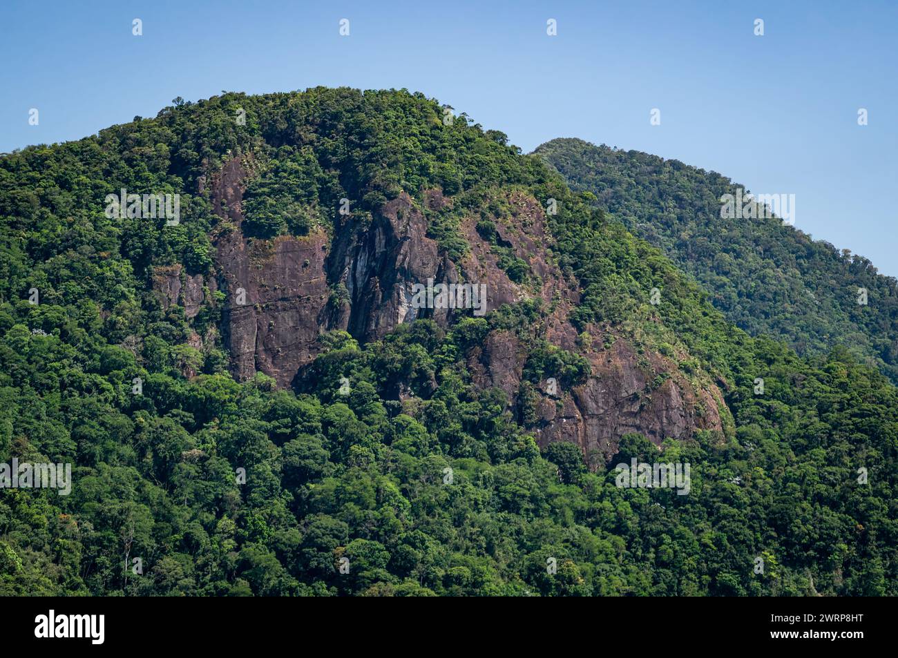 Rock formations full of dense Atlantic Forest green vegetation viewed ...
