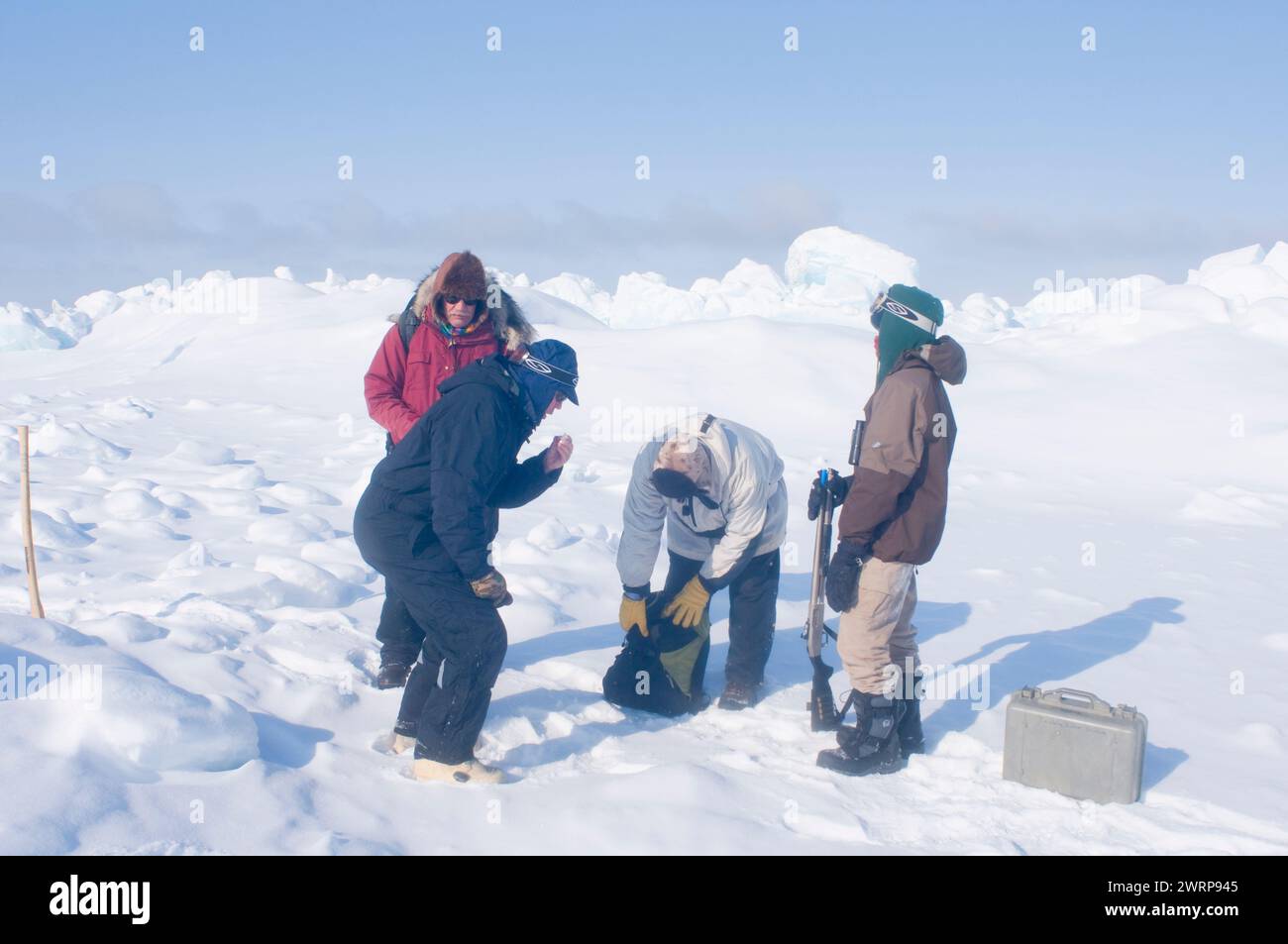 Scientists conducting bowhead whale survey count passing migrating ...