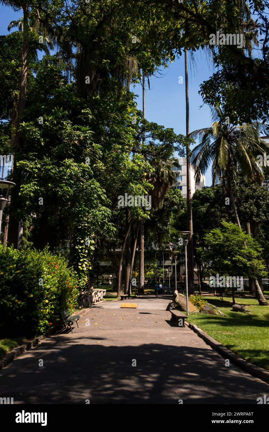 North side view of Catete Palace green vegetation gardens close to the ...