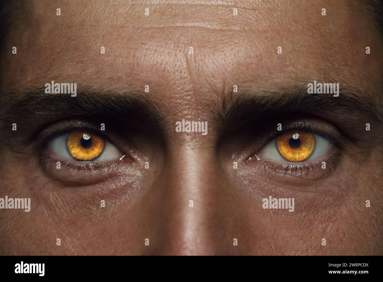 Health belief model hi-res stock photography and images - Alamy