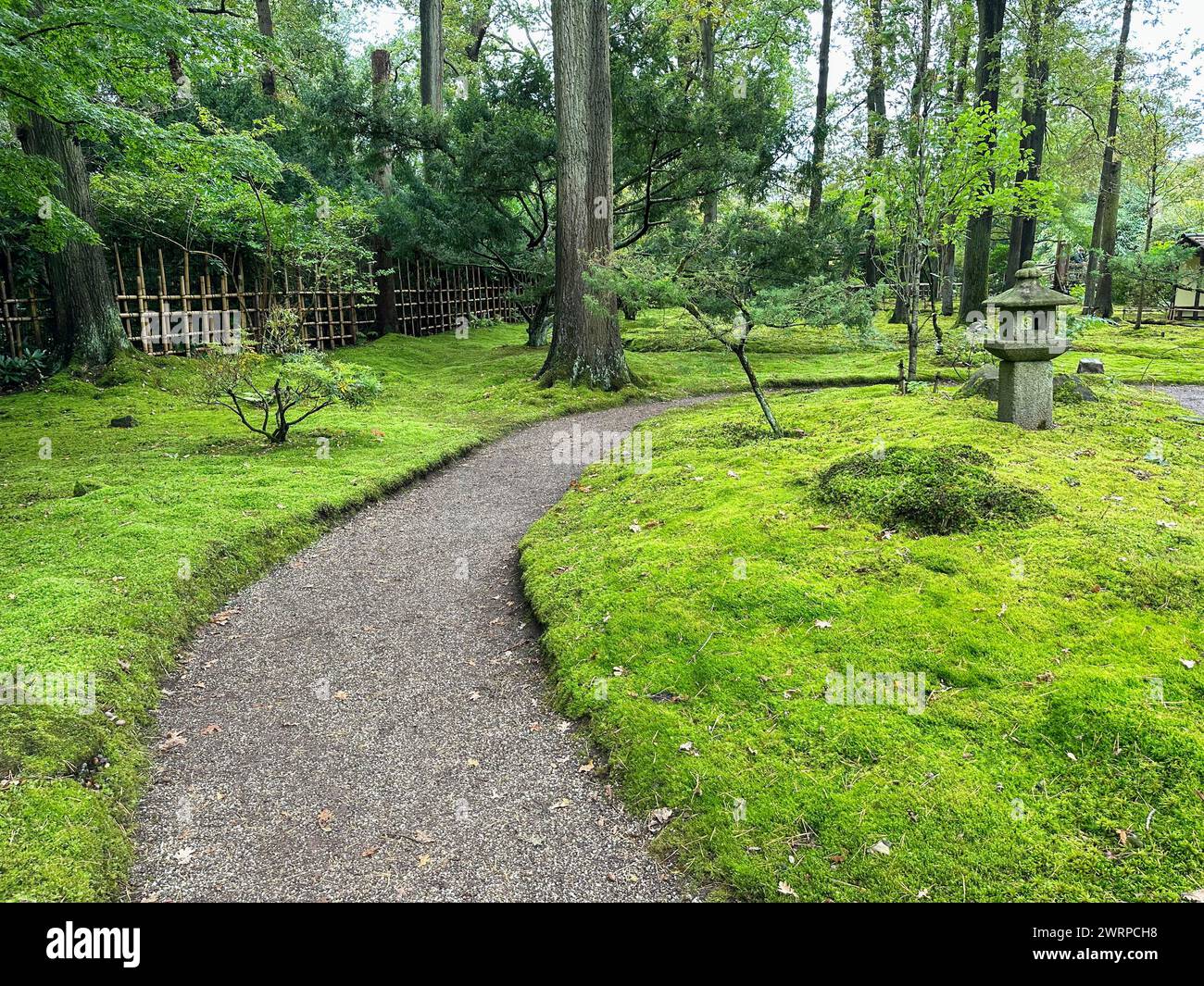 Bright moss, different plants, stone lantern and pathway in Japanese ...